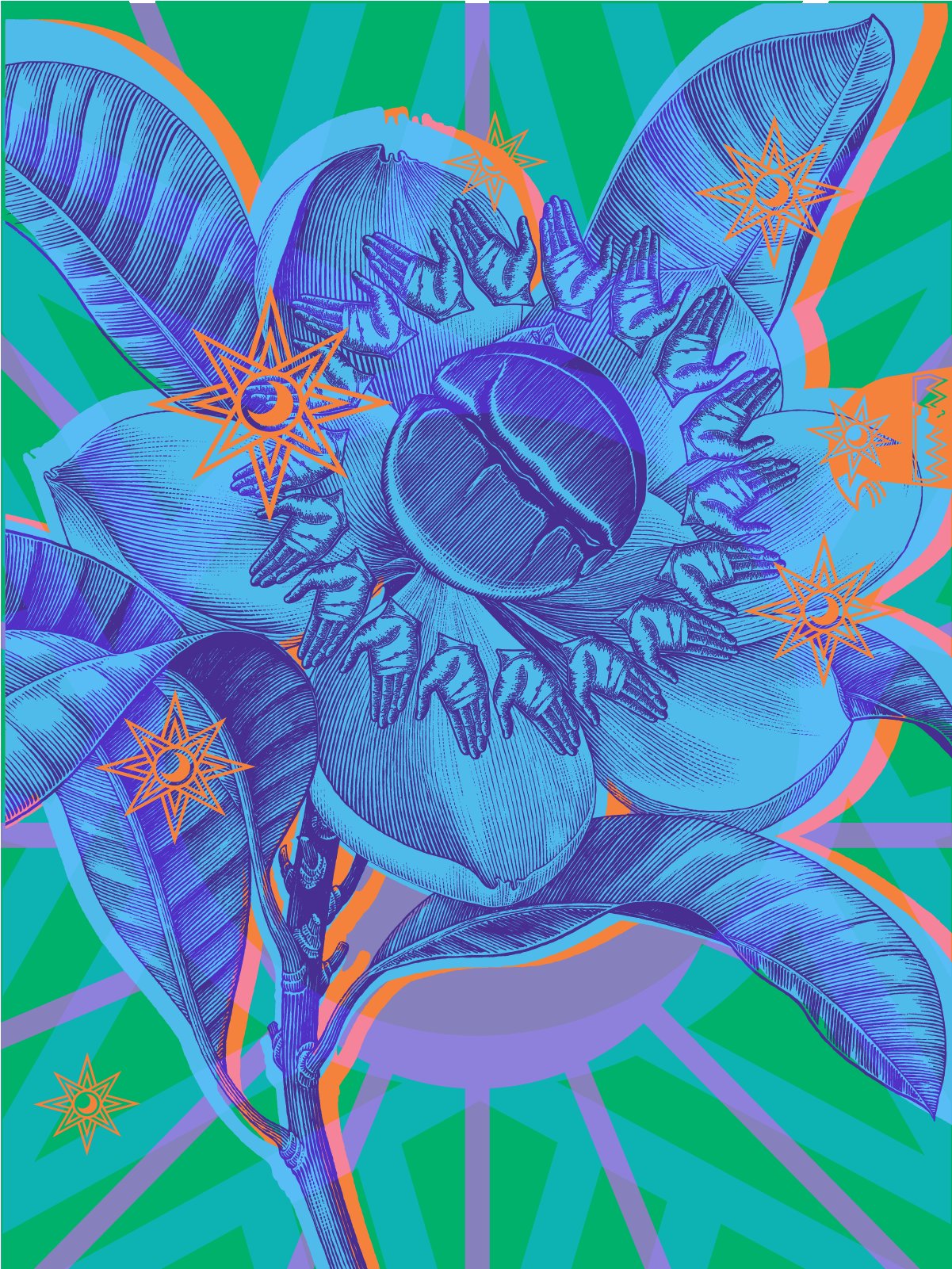 SHOP ALL – Nightjar Coffee Roasters