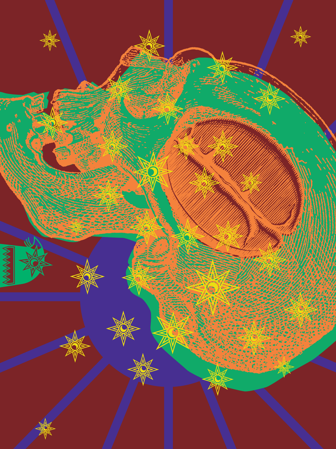 ABOUT US – Nightjar Coffee Roasters