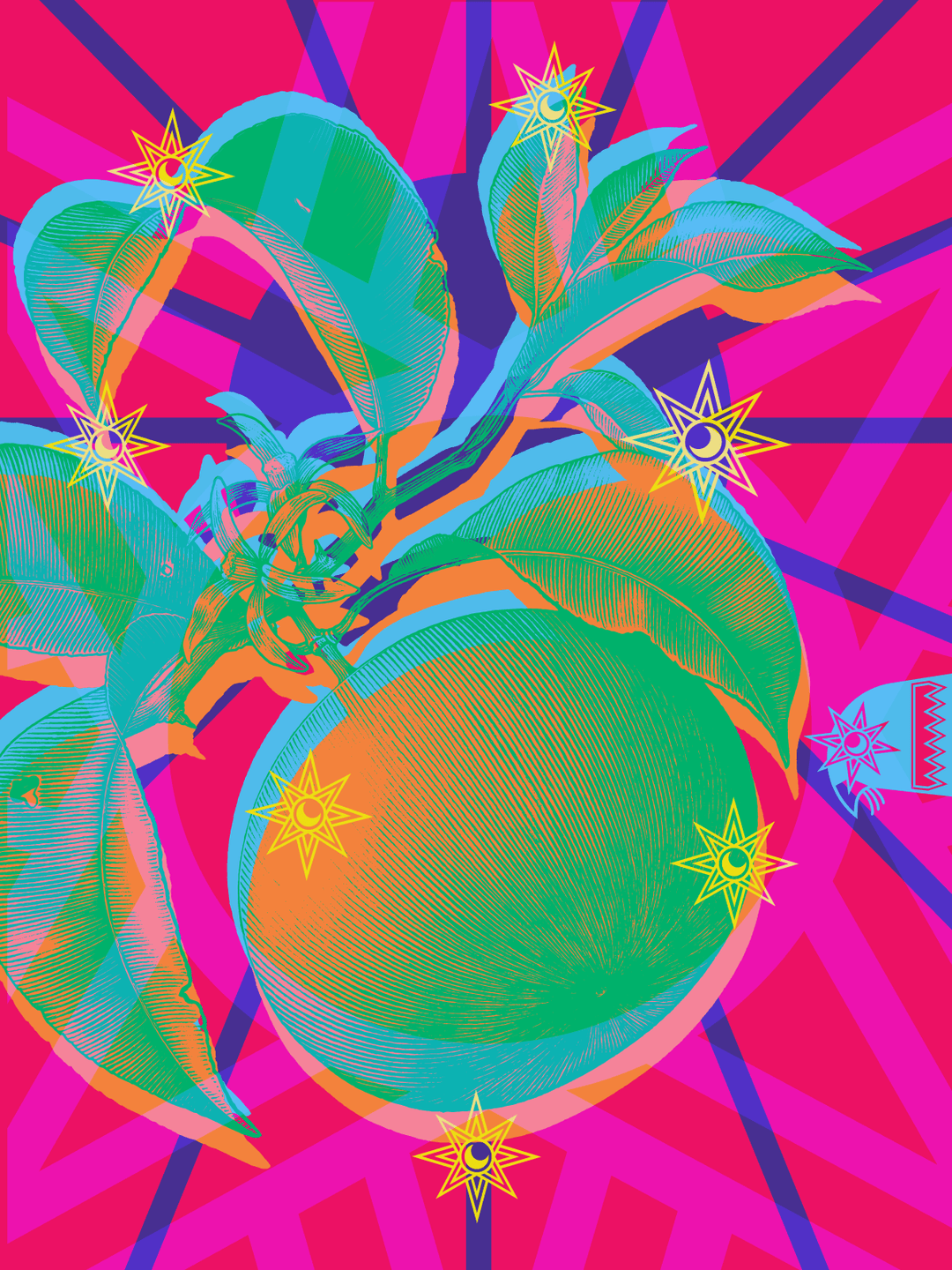 ABOUT US – Nightjar Coffee Roasters